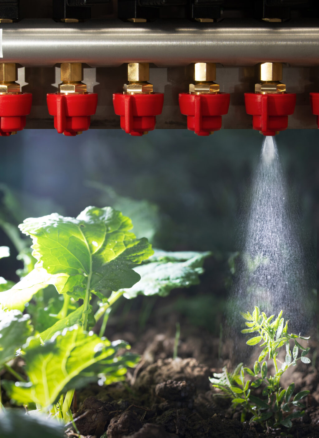 Crop Care | AI-Powered Precision Farming Solutions | Ecorobotix