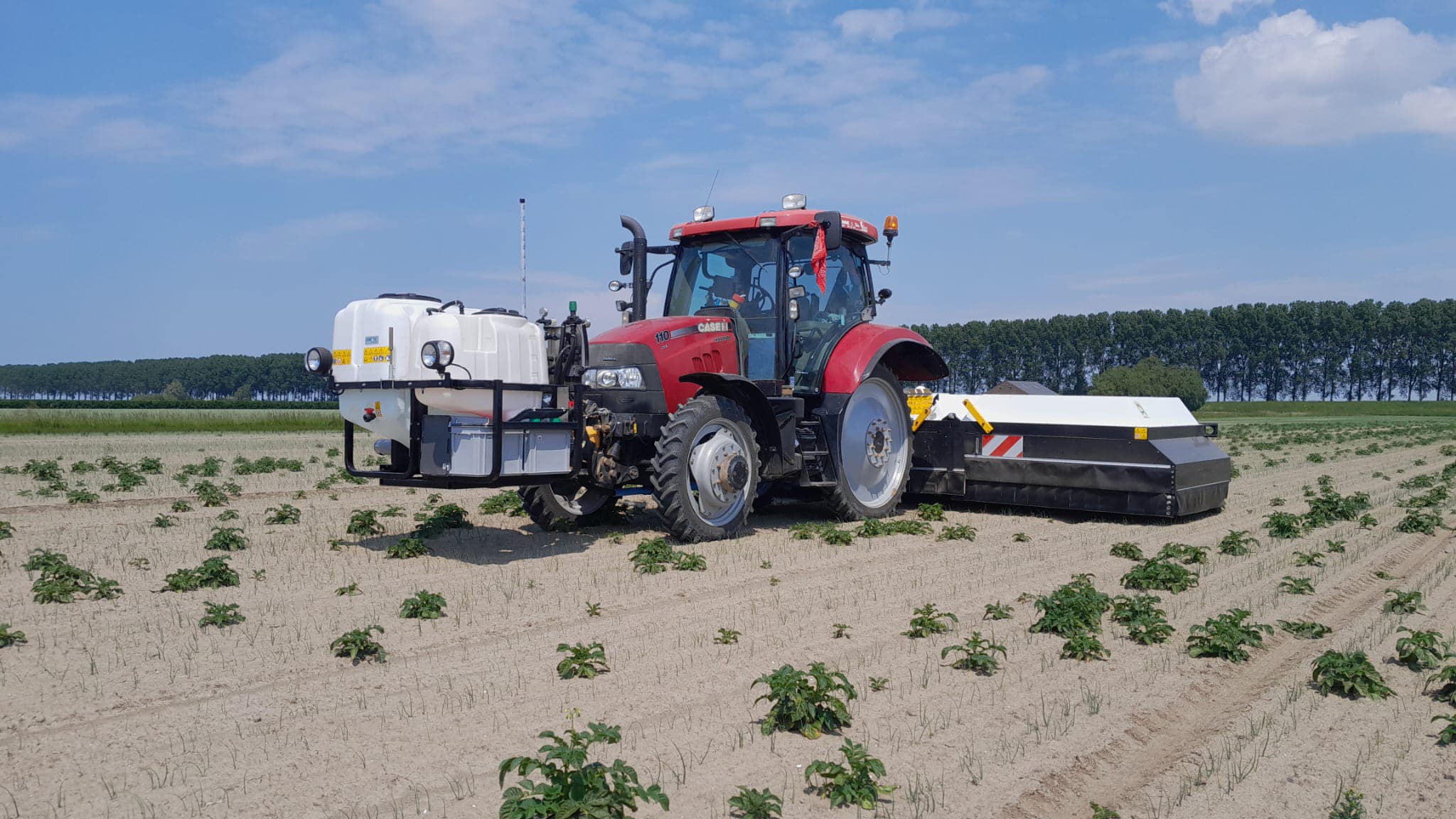 Confronting Volunteer Potatoes with ARA - Ecorobotix