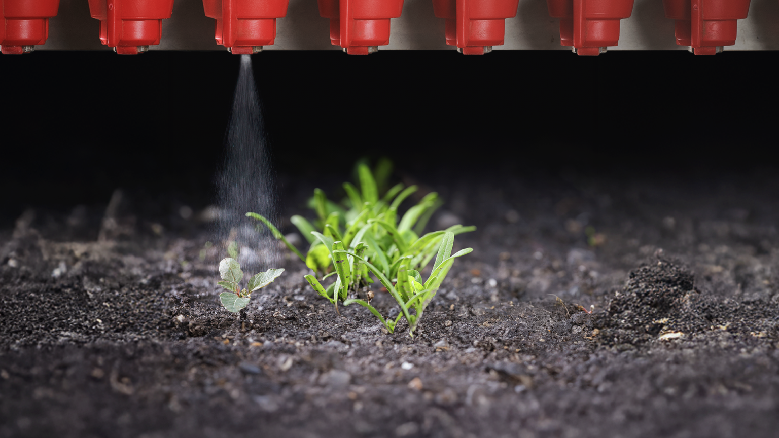 Home Page - Ecorobotix