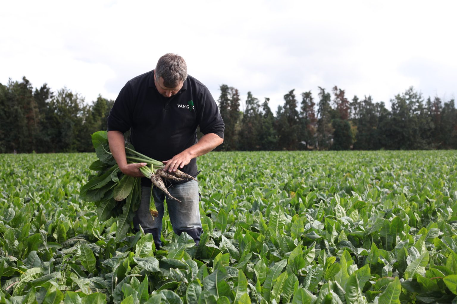 Home Page - Ecorobotix