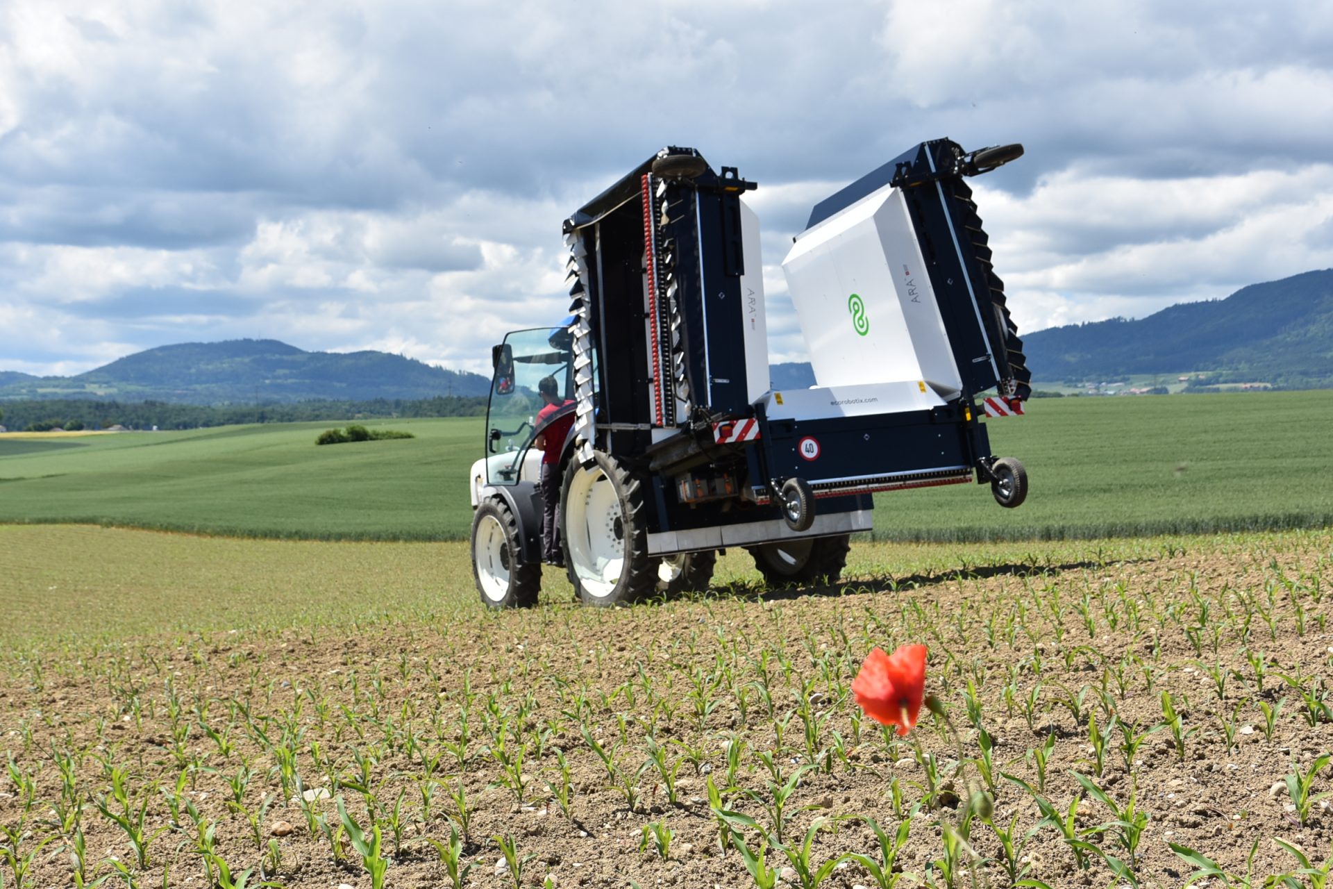 Weed control in a cornfield - Ecorobotix