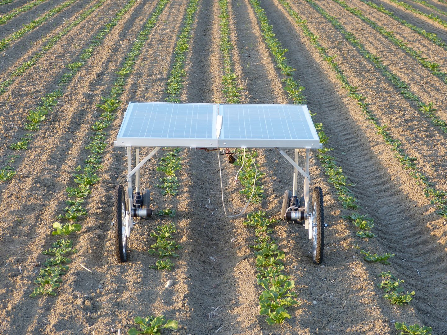 Origins | AI-Powered Precision Farming Solutions | Ecorobotix