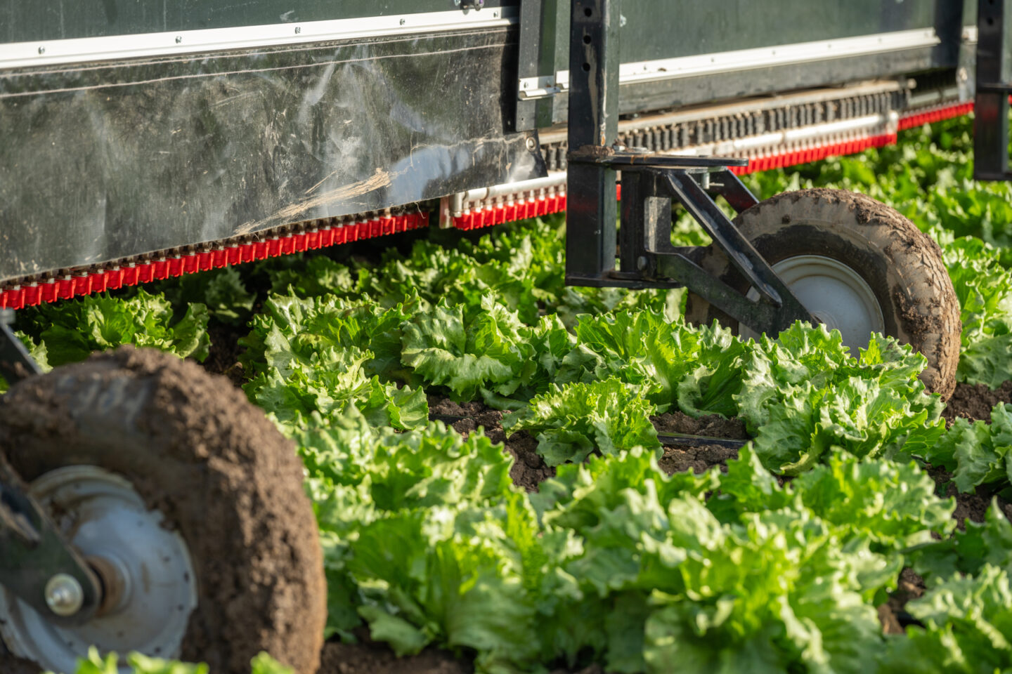 Home Page - Ecorobotix