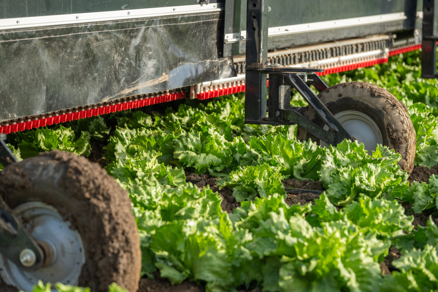 Precision Ag Technology | AI-Powered Precision Farming Solutions